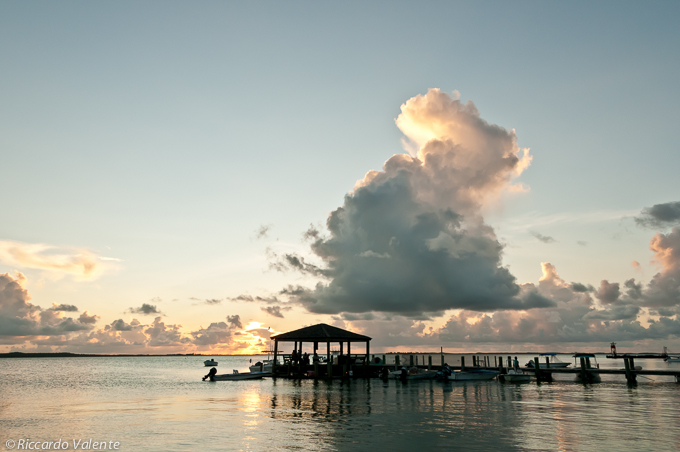 September – Bahamas Flavour